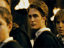 Cedric Diggory GIFs - Get the best GIF on GIPHY