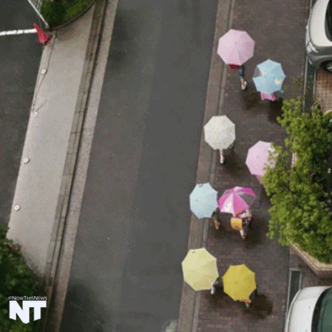 Project-monsoon GIFs - Get the best GIF on GIPHY