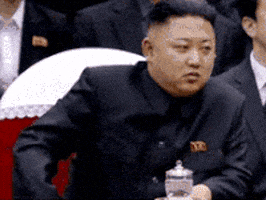 Wehrmacht GIFs - Get the best GIF on GIPHY