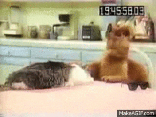 Alf-eating-a-cat GIFs - Get the best GIF on GIPHY