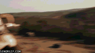 Wanderer GIFs - Find & Share on GIPHY