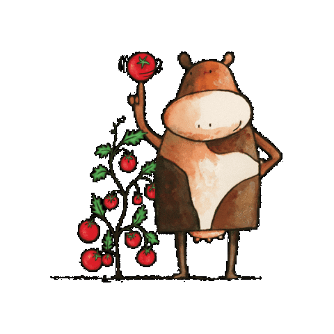 Little Dish GIFs on GIPHY - Be Animated