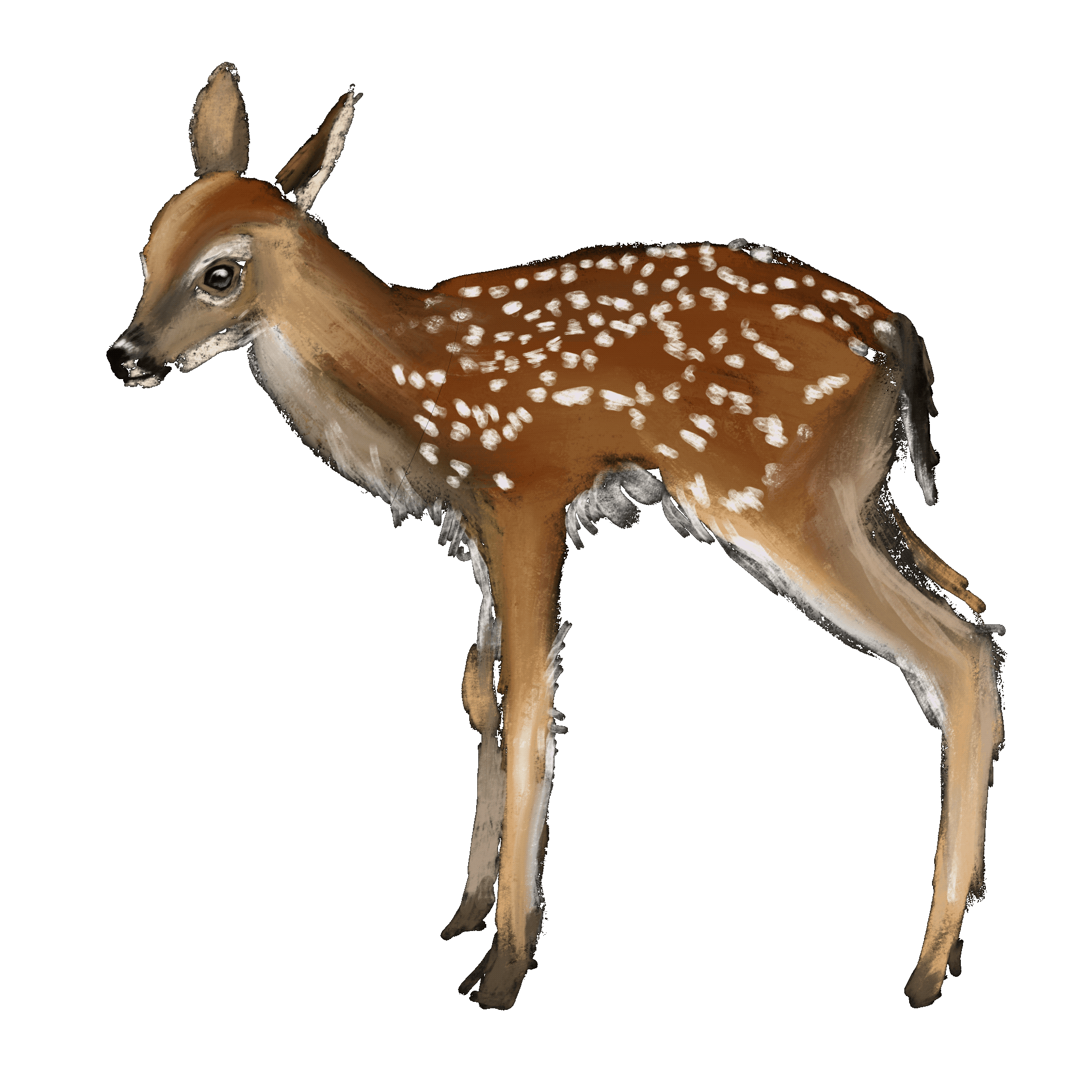 Forest Deer Sticker by Xiwikj for iOS & Android | GIPHY