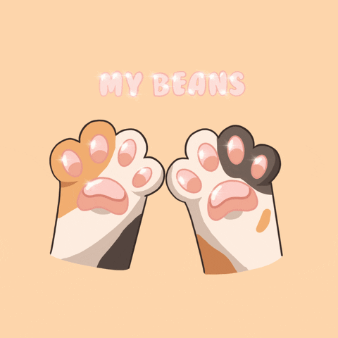 Cat Beans GIFs - Get the best GIF on GIPHY