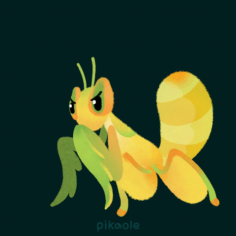 Orchid Mantis Fight GIF by pikaole - Find & Share on GIPHY
