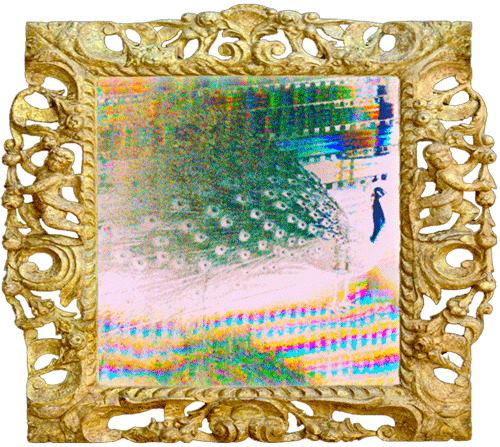 All The Things Podcast GIFs - Get the best GIF on GIPHY