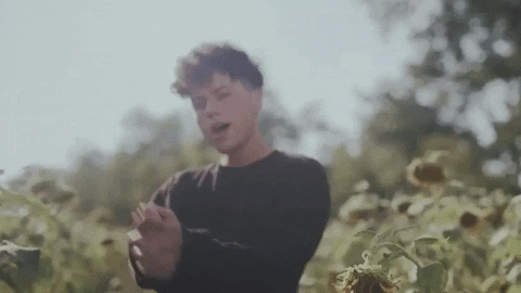 summer GIFs on GIPHY - Be Animated