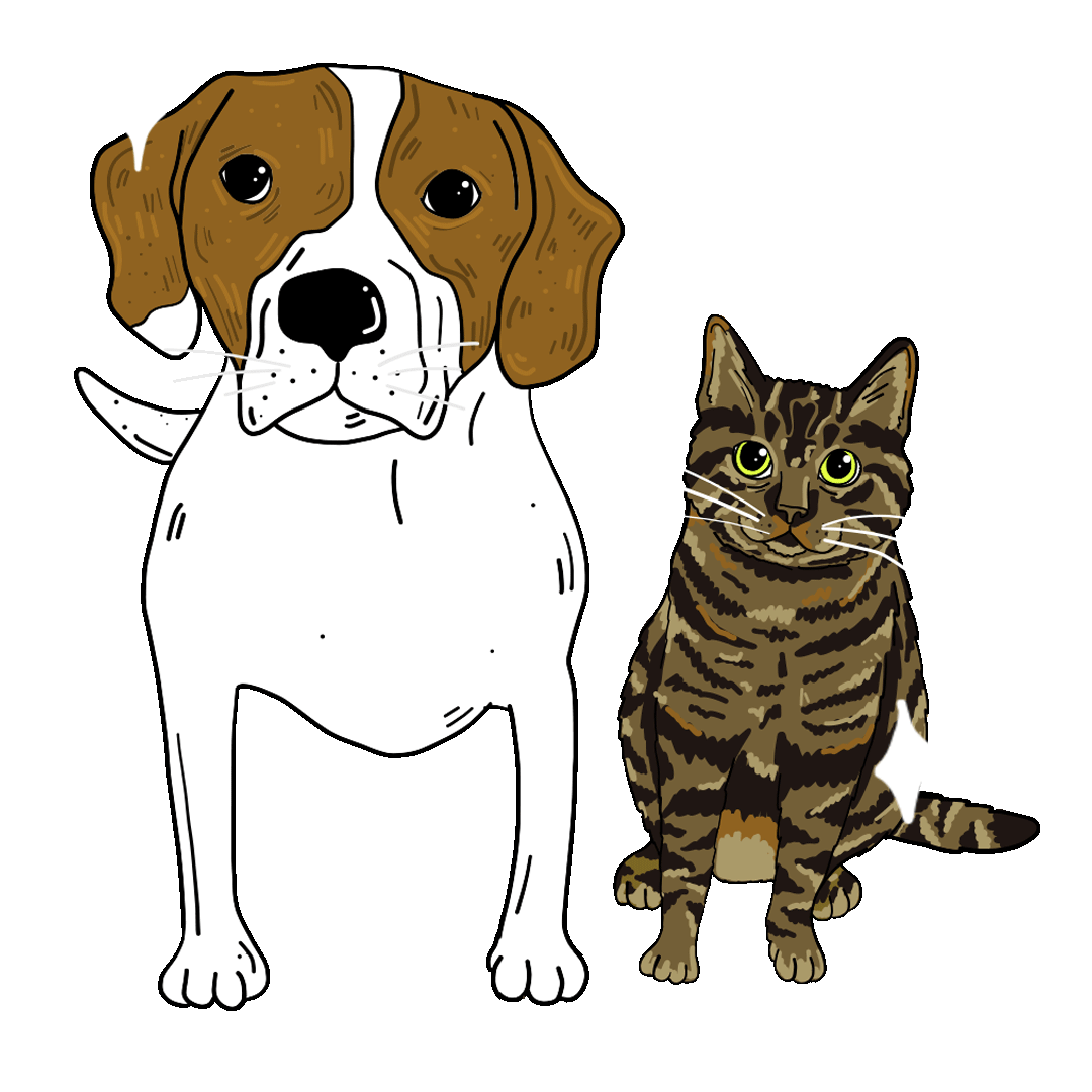 Transparent Dog Gif