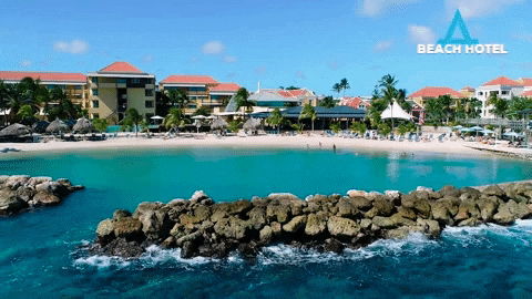 Avila Beach Hotel - Curacao GIF - Find & Share on GIPHY
