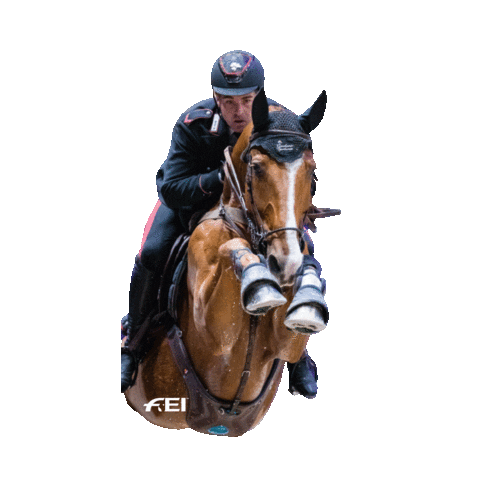 Show Jumping Horses Gif