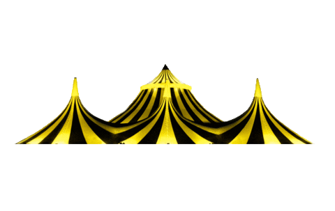 Circus Flic Flac GIFs on GIPHY - Be Animated