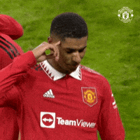 Manchester United Logo Gif