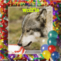 Happy Birthday Wolf