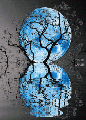 Blue-moon-2015 GIFs - Get the best GIF on GIPHY