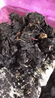 Food Life GIF by Common Ground Compost - Find & Share on GIPHY