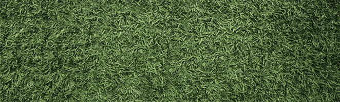 Turfgrass GIFs - Get the best GIF on GIPHY