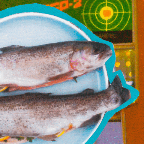 Milkfish GIFs - Find & Share on GIPHY