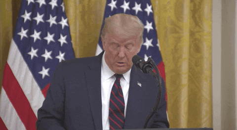 Donald Trump Yosemite GIFs - Get the best GIF on GIPHY