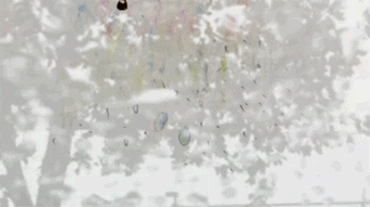 Rain Drops GIFs - Find & Share on GIPHY