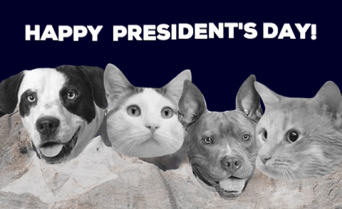 Happy Presidents Day Gif