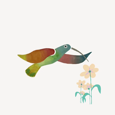 Humming-bird GIFs - Get the best GIF on GIPHY