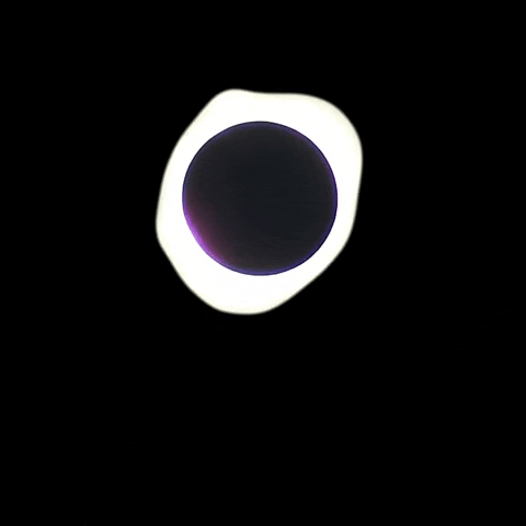 Total Solar Eclipse GIFs - Find & Share on GIPHY