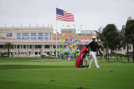 firstteemiami GIFs on GIPHY - Be Animated