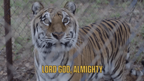 Lord-god-almighty GIFs - Get the best GIF on GIPHY