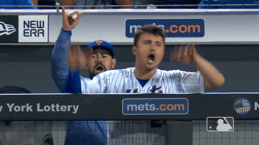 Happy Ny Mets GIF by New York Mets - Find & Share on GIPHY