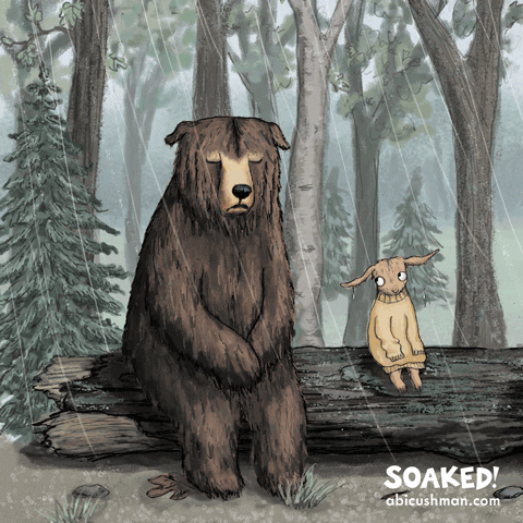 Poor Rabbit GIFs - Get the best GIF on GIPHY