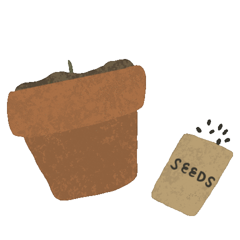 Seed Growing Gif