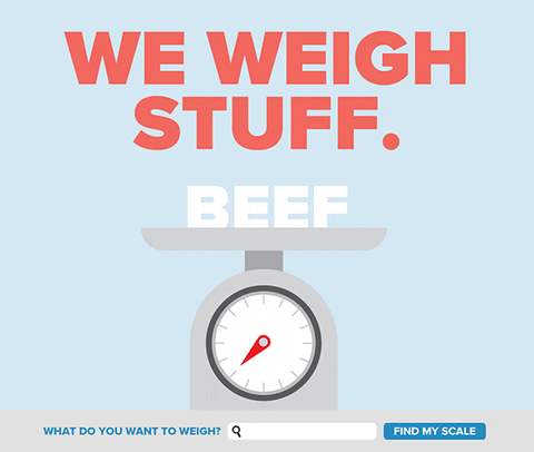 Modus Design GIF - Find & Share on GIPHY