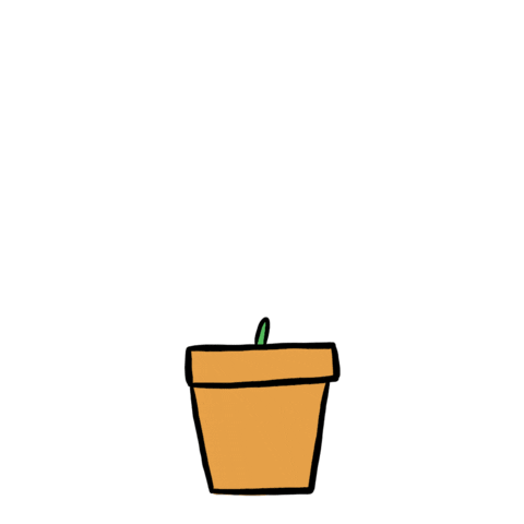 Growing Plant Gif
