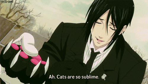 Sebastian-the-cat GIFs - Get the best GIF on GIPHY