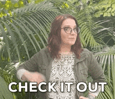 Check It Out GIFs - Find & Share on GIPHY