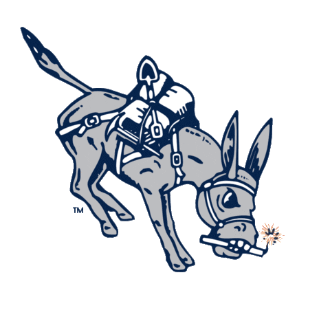 Blaster the Burro by coloradoschoolofmines | GIPHY