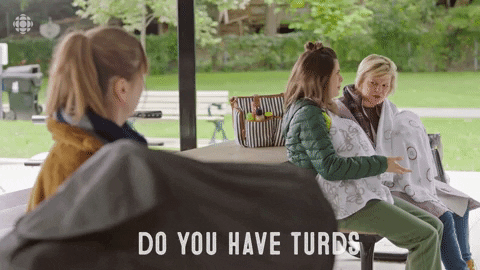 Do You Have Turds In Your Ears GIFs - Get the best GIF on GIPHY