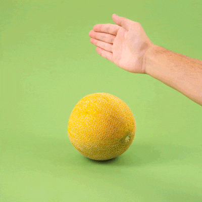 Fruit-cutting GIFs - Get the best GIF on GIPHY