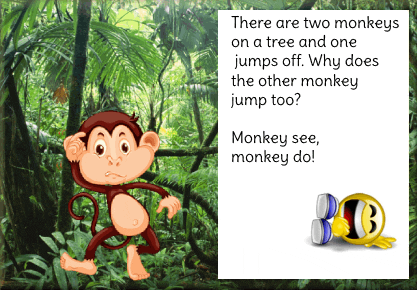 Two-monkeys GIFs - Get the best GIF on GIPHY
