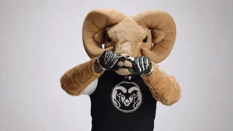 Csu-rams-volleyball GIFs - Get the best GIF on GIPHY