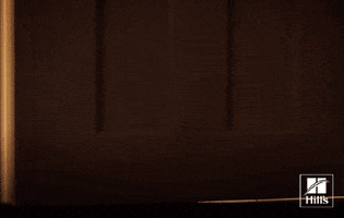 OLD MEMBER RETURNING | MotorhomeFun