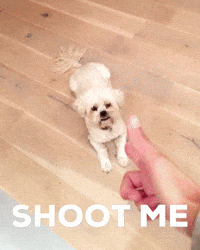 Shoot Me In The Head Emoticon