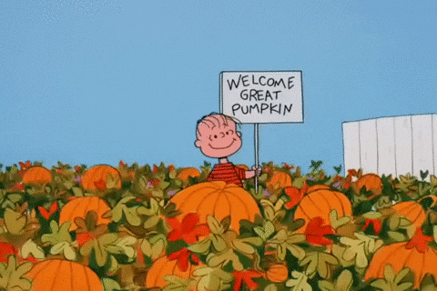 Fall Holiday GIFs - Get the best GIF on GIPHY