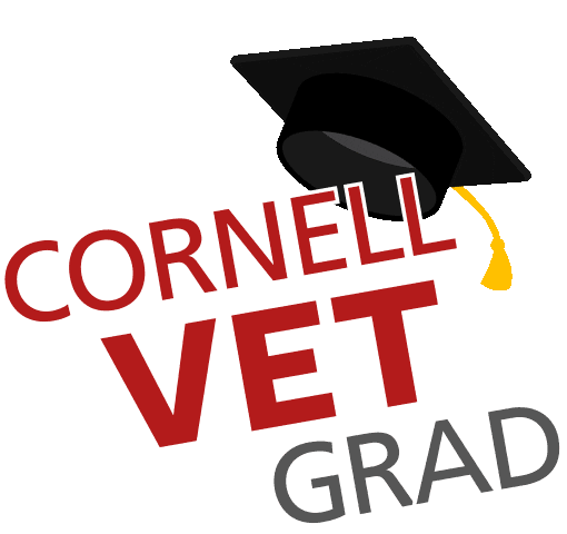 Cornell College of Veterinary Medicine GIFs on GIPHY - Be Animated