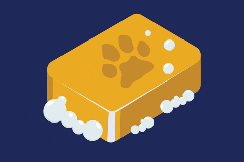 Clean Your Paws GIFs - Get the best GIF on GIPHY