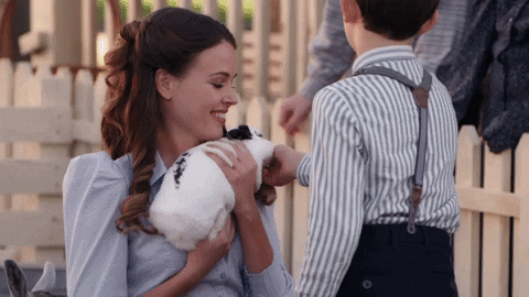 Petting Zoo GIFs - Find & Share on GIPHY