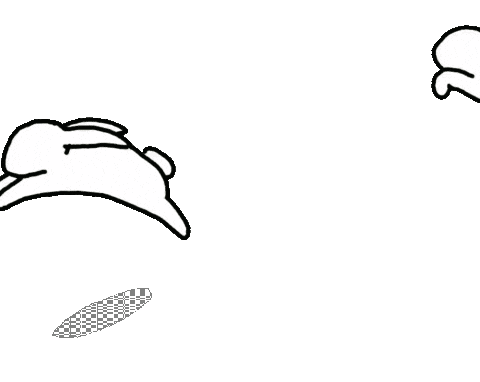 Rabbit Jumping Gif
