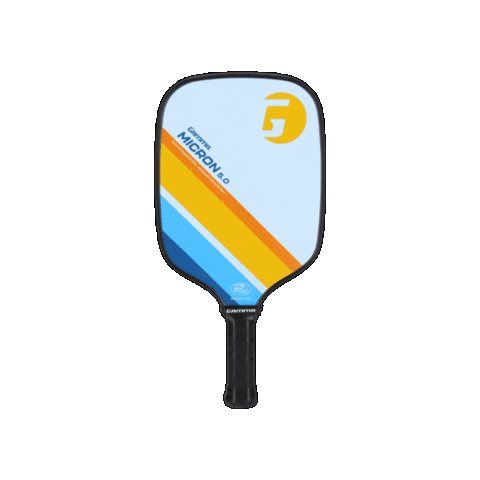 Pickleball GIFs on GIPHY - Be Animated