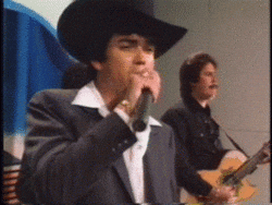 Pancha GIFs - Get the best GIF on GIPHY