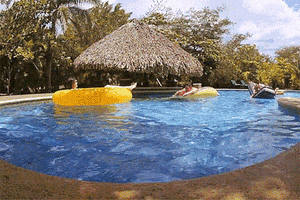 Time-lapse GIFs - Get the best GIF on GIPHY